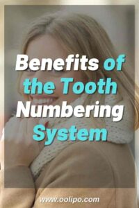 Wisdom Teeth Numbers in Dental Tooth System Explained - oolipo